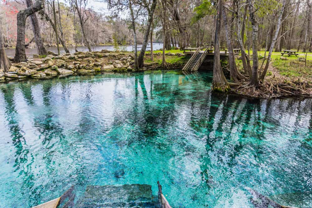 12 Gorgeous Florida Rivers You Must See - Florida Trippers
