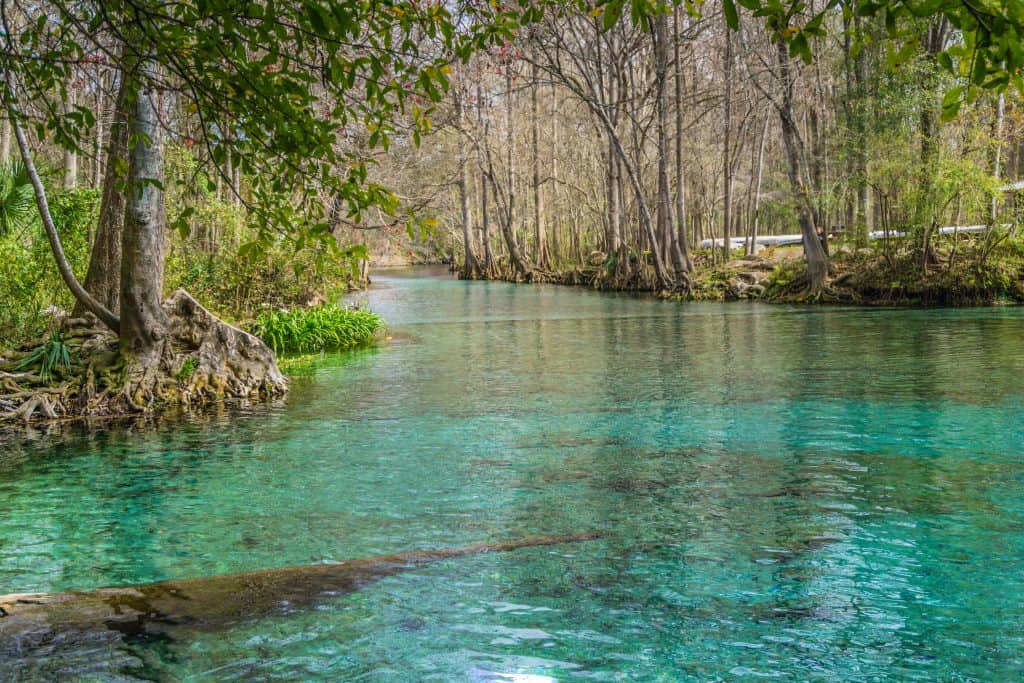 10 Natural Springs Near Tampa You Must Visit - Florida Trippers