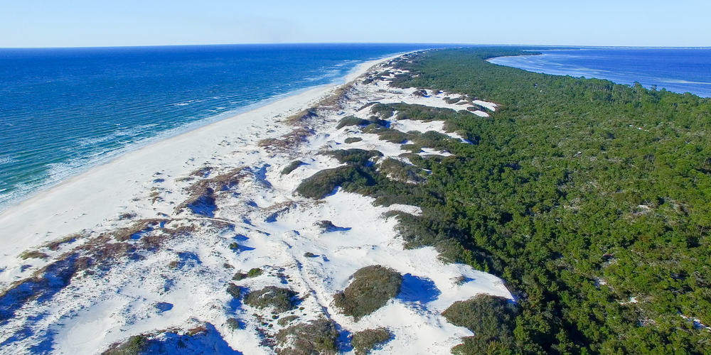 8 Prettiest Beaches Near Tallahassee - Florida Trippers