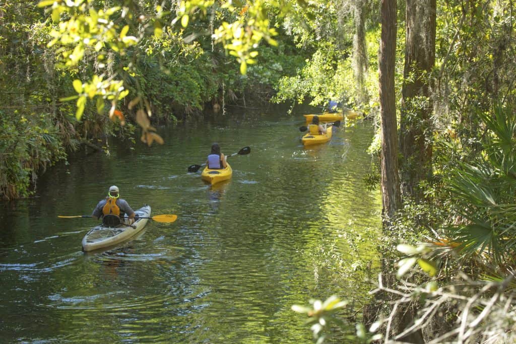 12 Gorgeous Florida Rivers You Must See - Florida Trippers
