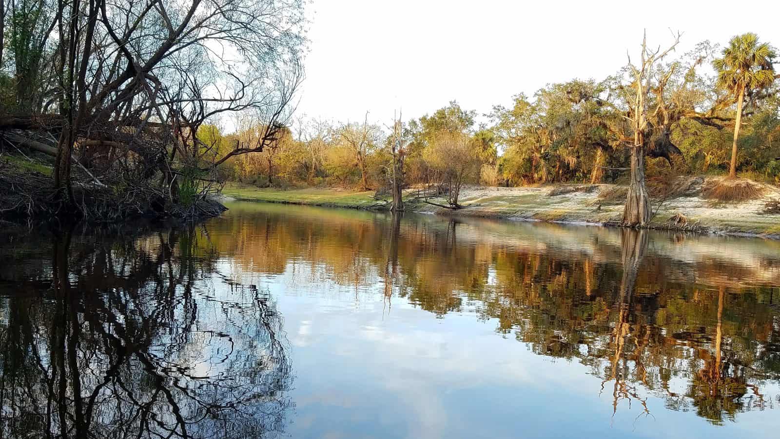 12 Gorgeous Florida Rivers You Must See - Florida Trippers