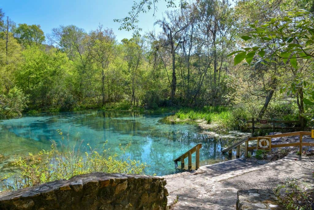 10 Natural Springs Near Tallahassee You Must Visit - Florida Trippers