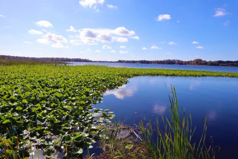 15 Best Lakes In Florida You Must Visit - Florida Trippers